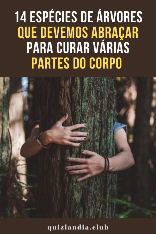 14 Espécies de árvores que devemos abraçar para curar várias partes do ... 14 Espécies de árvores que devemos abraçar para curar várias partes do ...