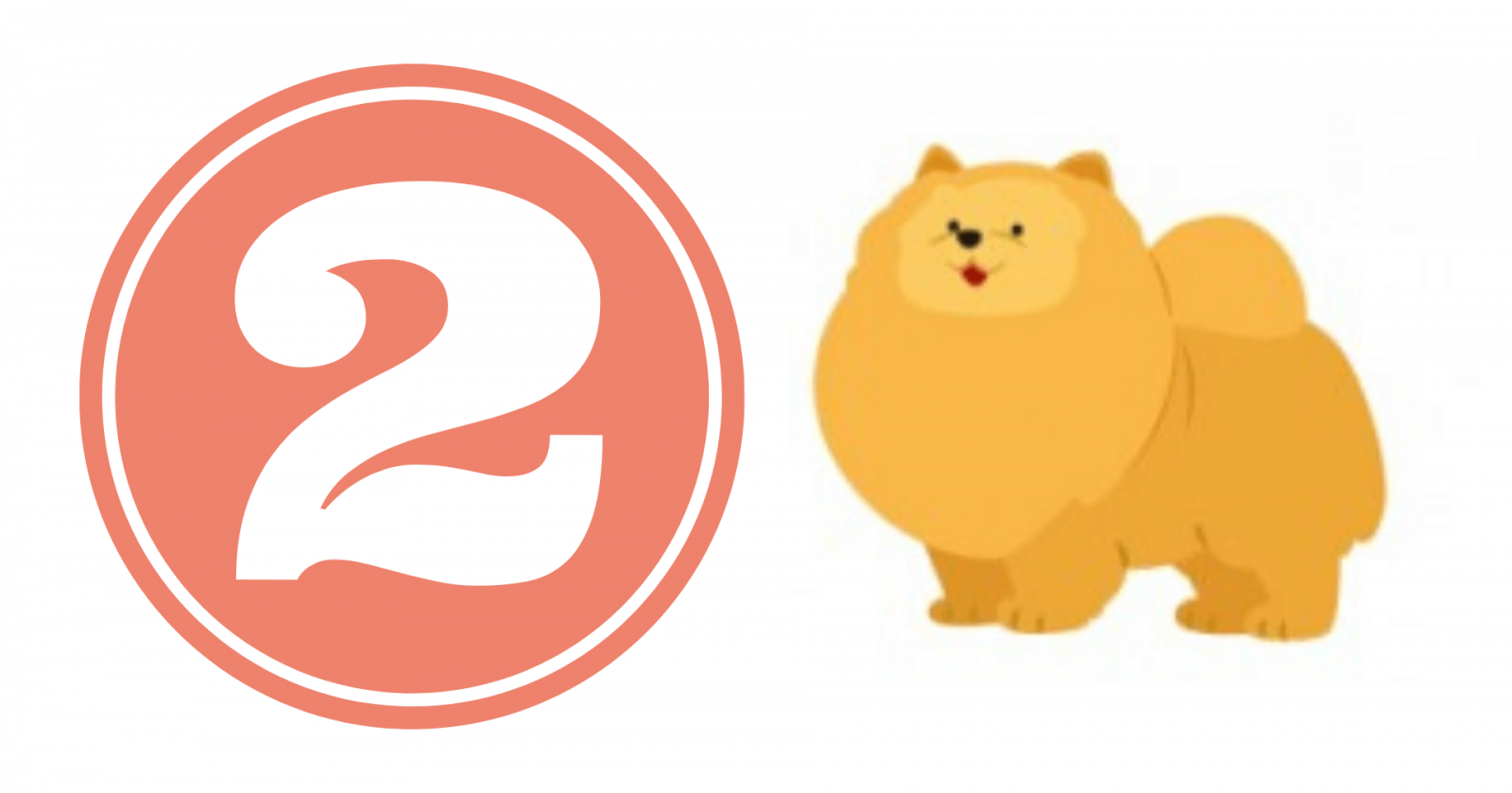 Qual cachorro você escolhe? Isso diz muito sobre você! Qual cachorro você escolhe? Isso diz muito sobre você!